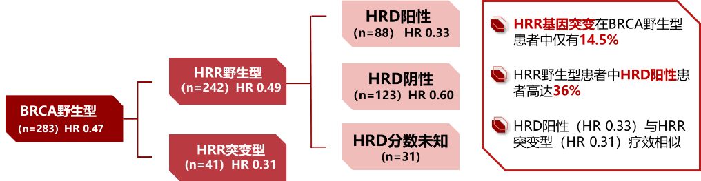OC学术盛典 - 卵巢e站